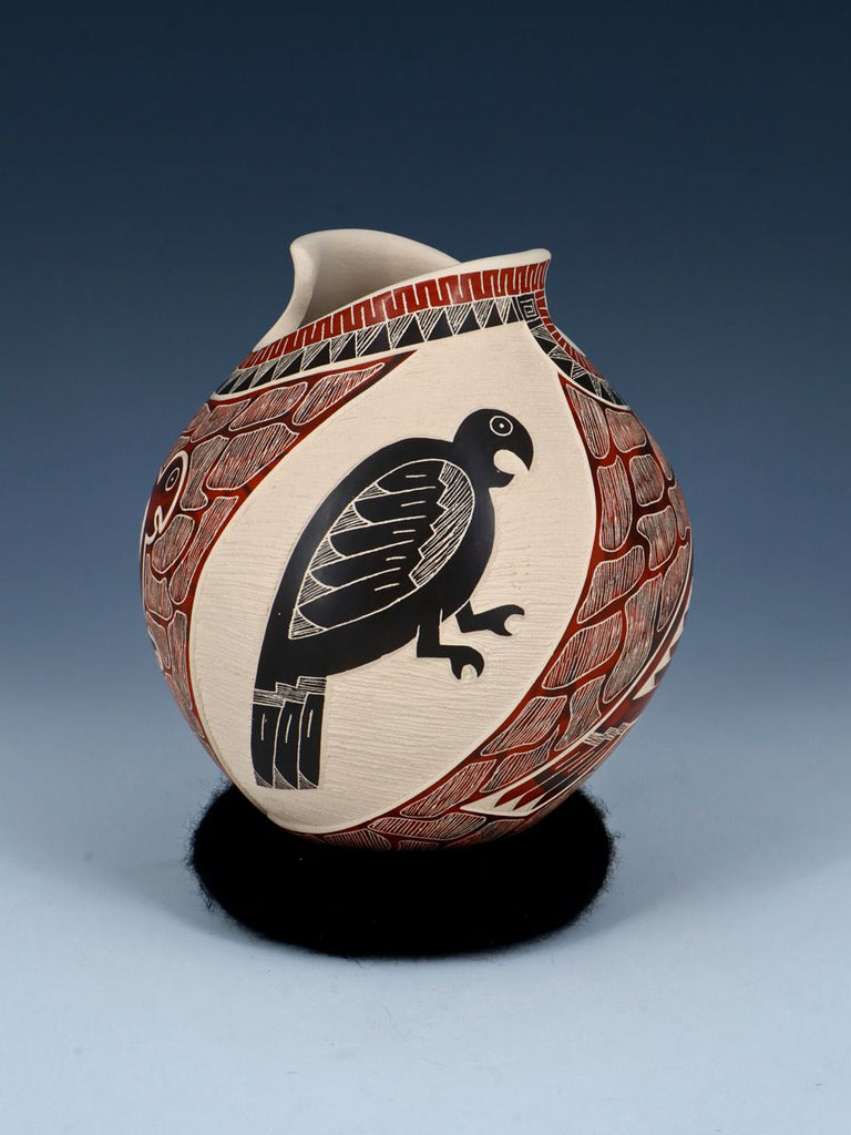 Mata Ortiz Pottery | PuebloDirect.com