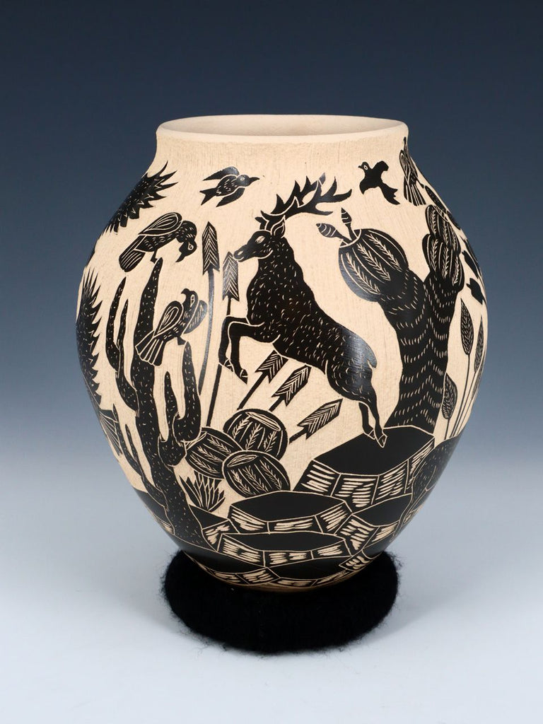 Mata Ortiz Pottery | PuebloDirect.com