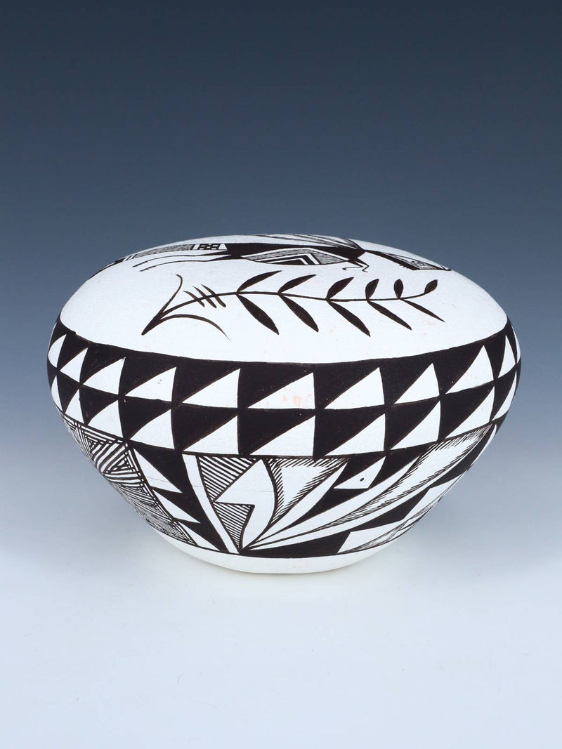 Acoma Pueblo Pottery – PuebloDirect.com