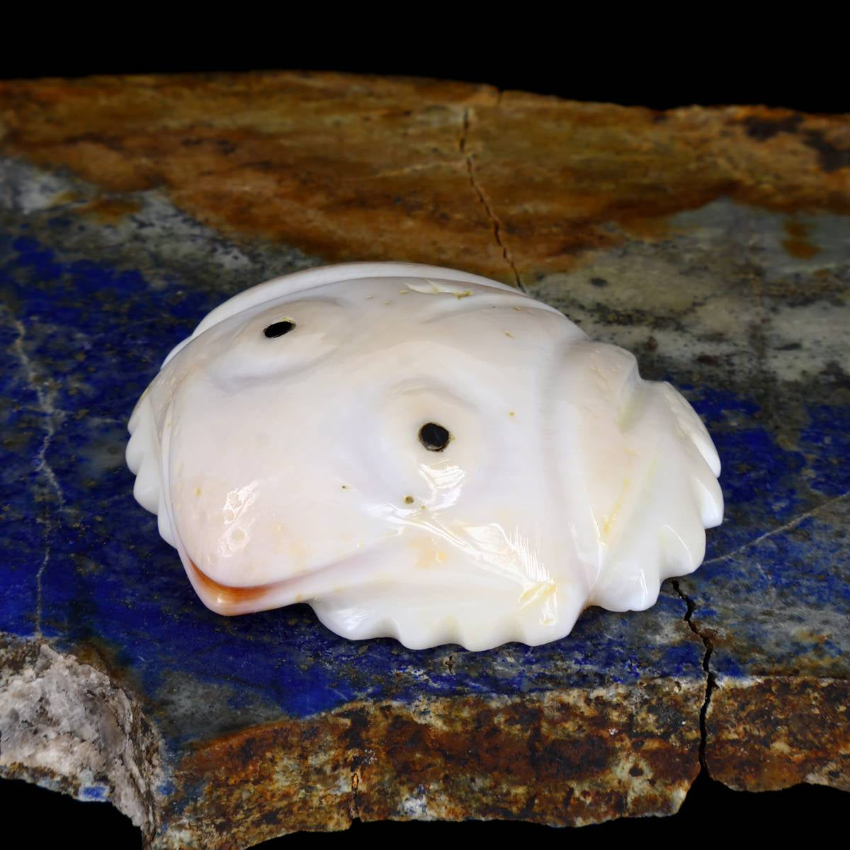 Shell Frog Navajo Carving – PuebloDirect.com